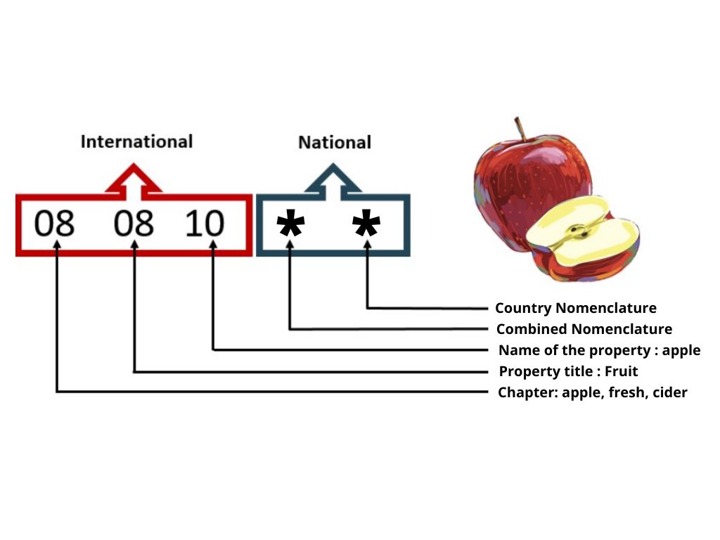 Freight Shipping between Malaysia and Vietnam | Rates – Transit Times ...